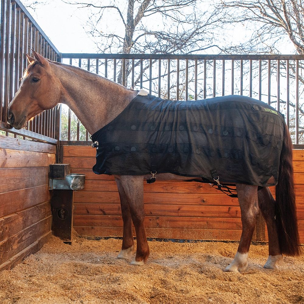 Classic Equine MagNTX Sheet - Black Mesh – Triple R Tack